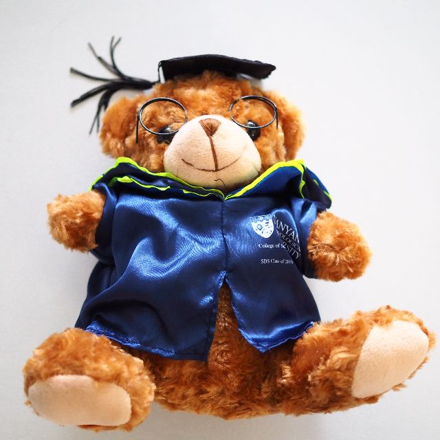 NTU Graduation Bear, Hobbies & Toys, Toys & Games on Carousell
