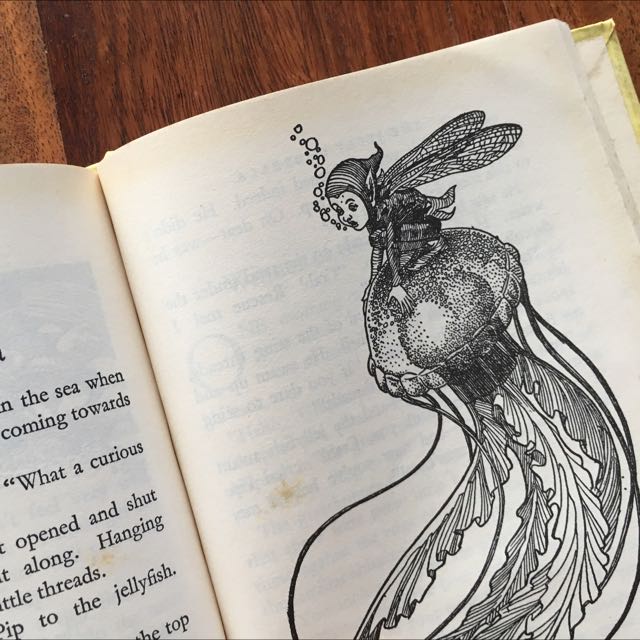 The Adventures Of Pip - Enid Blyton, Books & Stationery, Children's ...