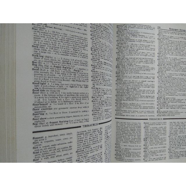 Webster's New World Dictionary and Thesaurus, Hobbies & Toys, Books ...