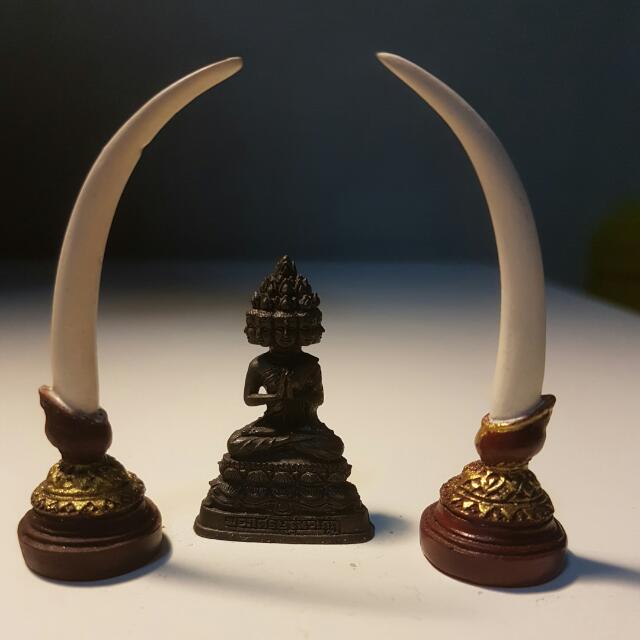 Mini Display Tusk, Hobbies & Toys, Memorabilia & Collectibles ...