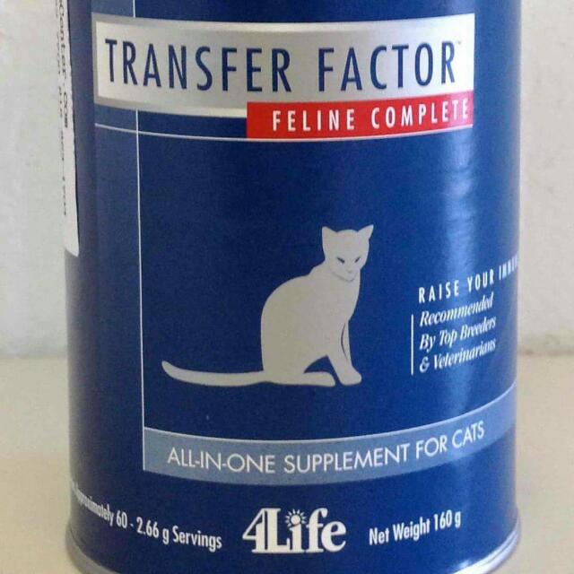 Transfer Factor Feline Complete, Pet Supplies on Carousell