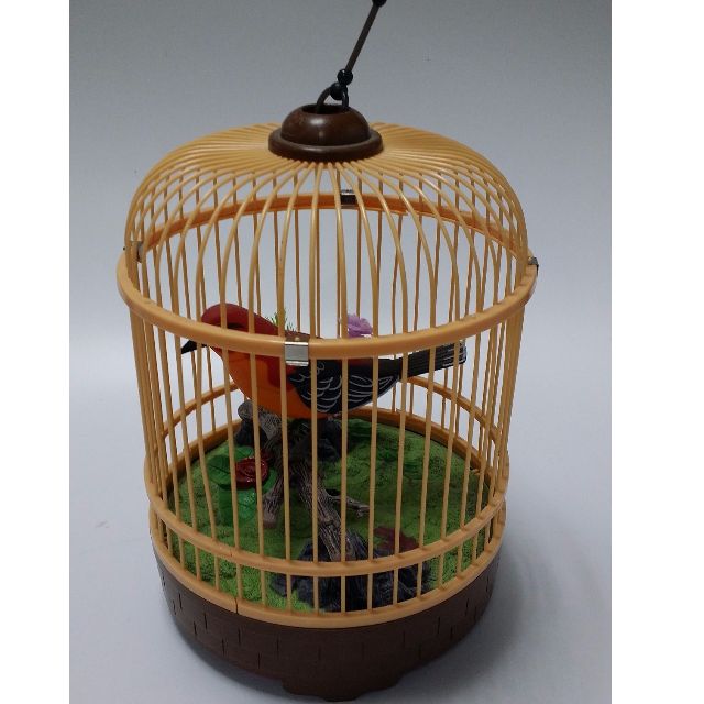 Battery Operated Realistic Singing and Chirping Bird Toy With Cage ...