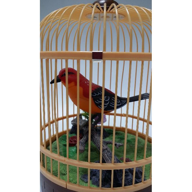 Battery Operated Realistic Singing and Chirping Bird Toy With Cage ...