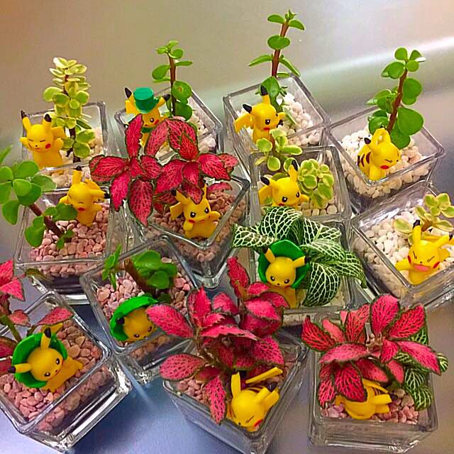 Pokemon Pikachu with In-house Plants, Furniture & Home Living ...