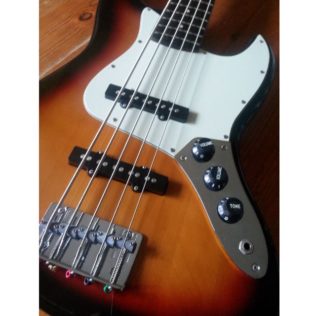 5 string Bass SX, Hobbies & Toys, Music & Media, Musical Instruments on ...