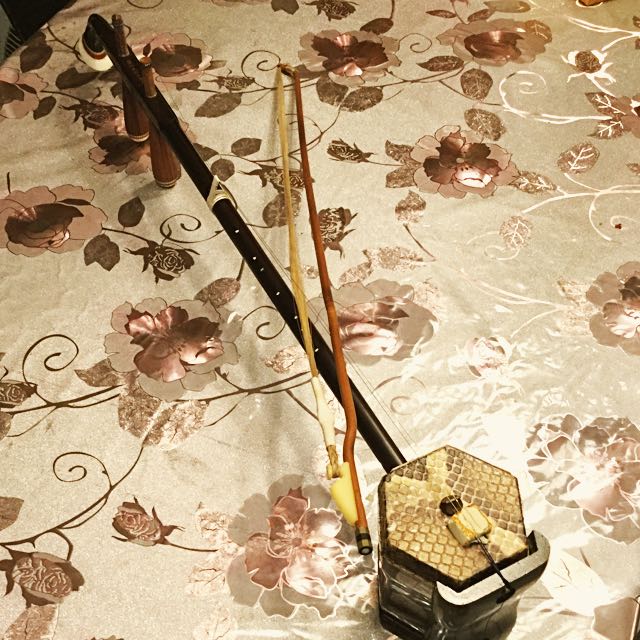 Beginner Grade Erhu, Hobbies & Toys, Music & Media, Musical Instruments ...