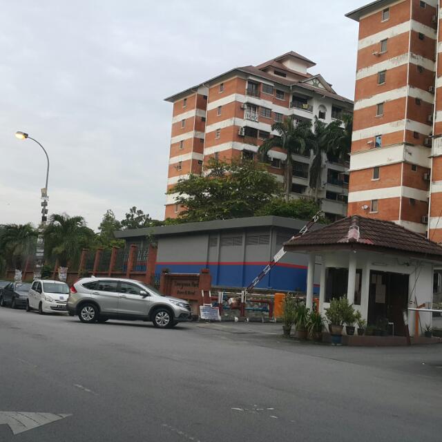 Evergreen Acorn & Hazel, Property on Carousell