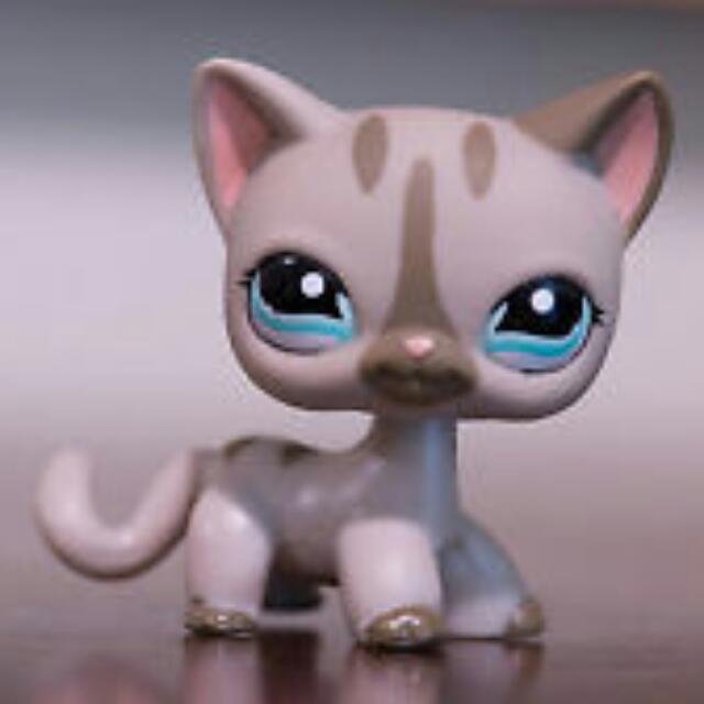 LPS Shorthair Cat #1206, Hobbies & Toys, Toys & Games on Carousell