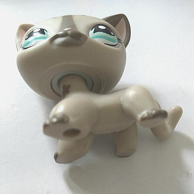 LPS Shorthair Cat #1206, Hobbies & Toys, Toys & Games on Carousell