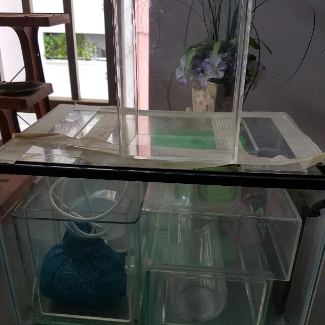 Betta Fish Tank And Plus 2 Feet Tank, Pet Supplies, Homes & Other Pet ...
