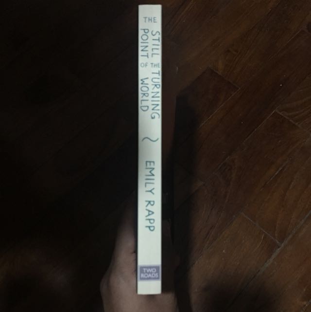 The Still Point Of The Turning World by Emily Rapp, Books & Stationery ...