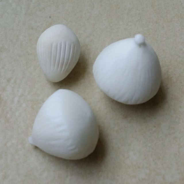 The Rarest Botanical Gem in the World - Coconut Pearl with Ring, Women ...