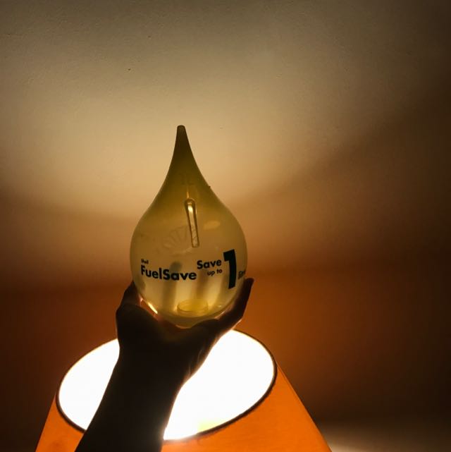 Shell Piggy Bank, Hobbies & Toys, Toys & Games on Carousell