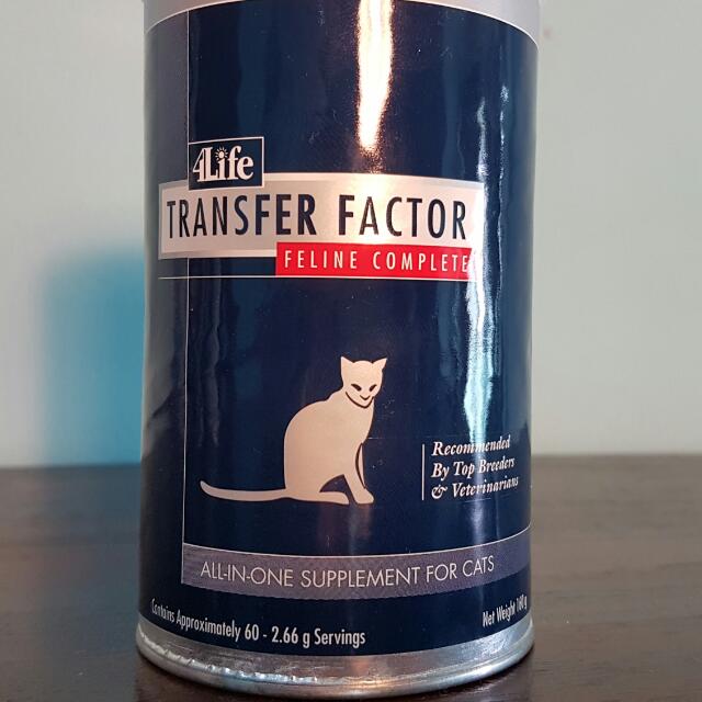 Transfer Factor Feline Complete, Pet Supplies, Homes & Other Pet ...