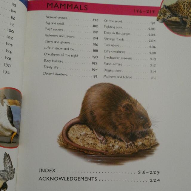 Children's Encyclopedia Animals, 500 Illustrated Facts, Hobbies & Toys ...