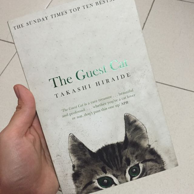[book] The Guest Cat, Hobbies & Toys, Books & Magazines, Children's ...