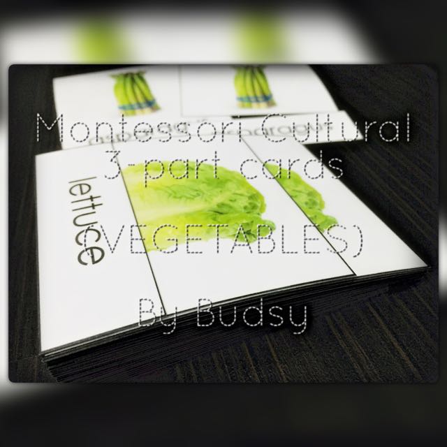 Montessori Cultural 3-Part Cards : Vegetables, Toys & Games, Others on ...