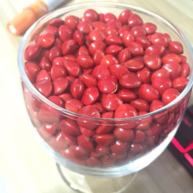 Hand Picked Saga Seeds, Furniture & Home Living, Gardening, Plants ...