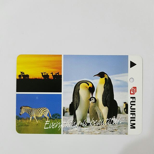 VINTAGE TRANSIT LINK CARDS - FUJIFIRM WILD LIFE SERIES, Hobbies & Toys ...