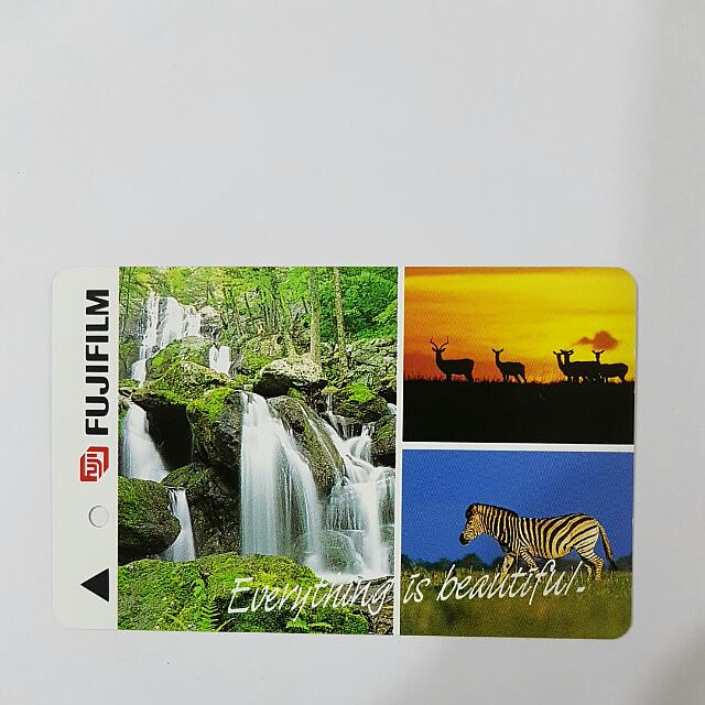 VINTAGE TRANSIT LINK CARDS - FUJIFIRM WILD LIFE SERIES, Hobbies & Toys ...