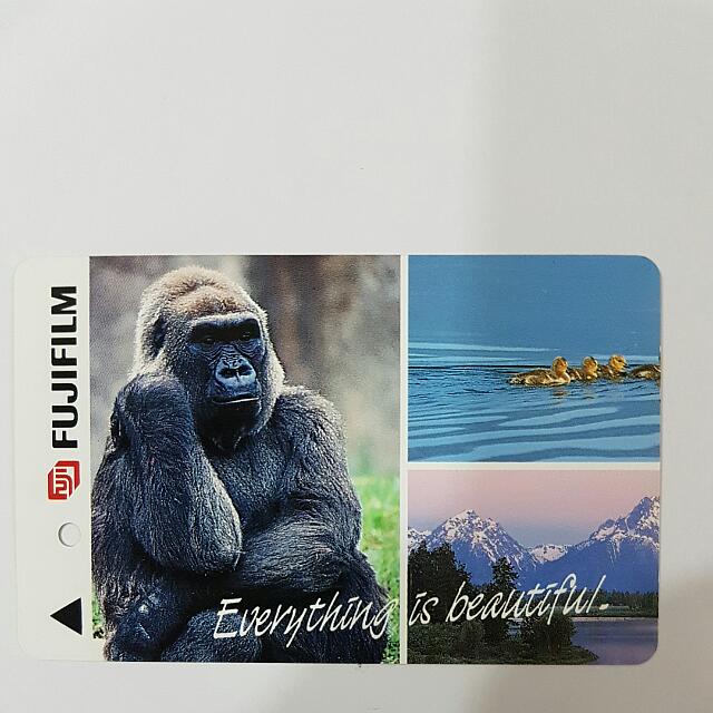 VINTAGE TRANSIT LINK CARDS - FUJIFIRM WILD LIFE SERIES, Hobbies & Toys ...