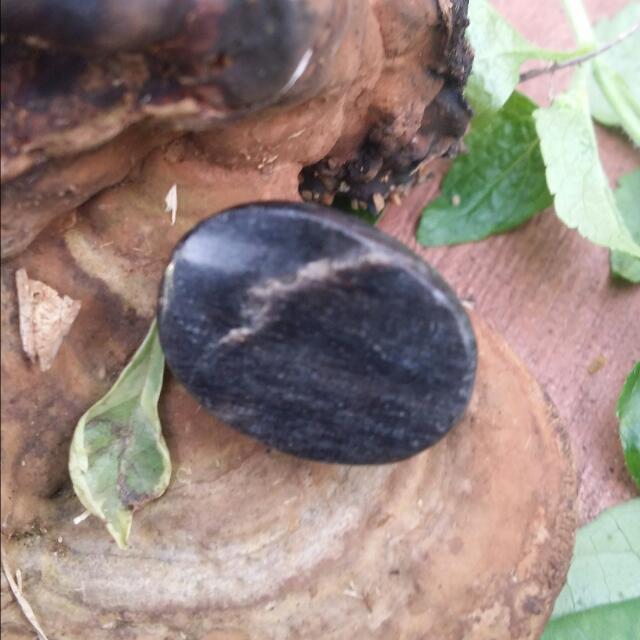 Fossil Teras Kayu Mali, Luxury, Accessories on Carousell