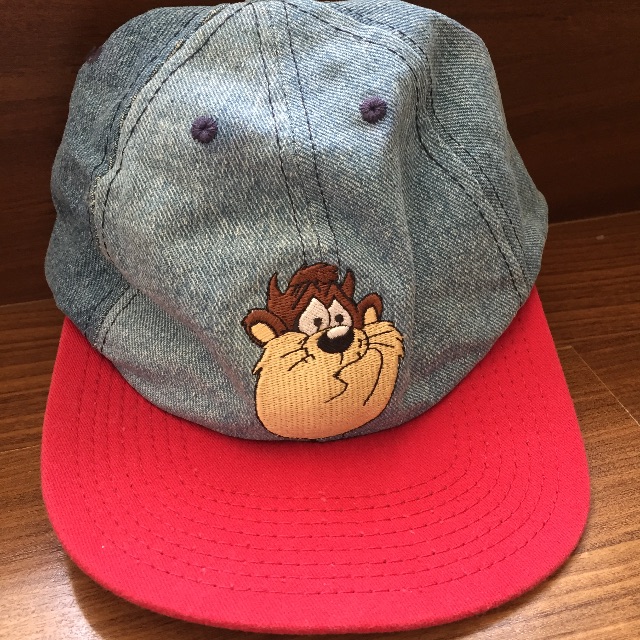 Taz cap Warner brothers, Sports Equipment, Sports & Games, Water Sports ...