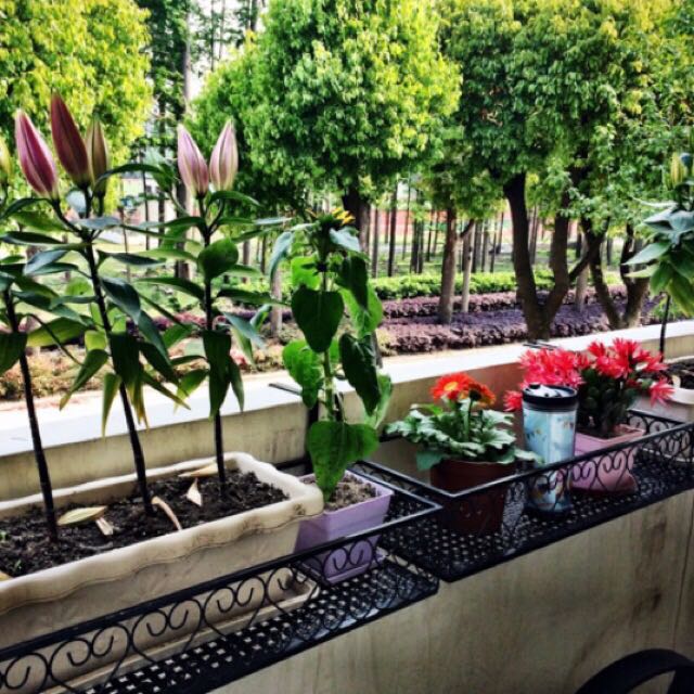 BN Flower Pot Rack Balcony Corridor Parapet Railing Basket, Furniture ...