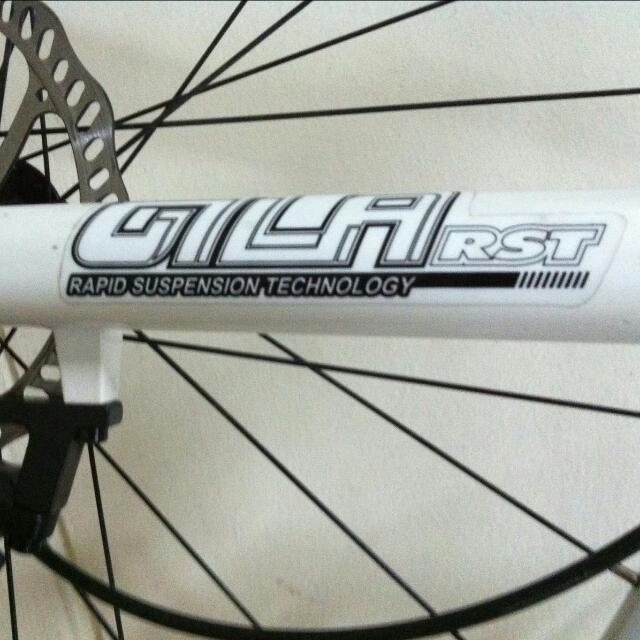 Wheeler Proton 420, Sports Equipment, Bicycles & Parts, Bicycles on ...