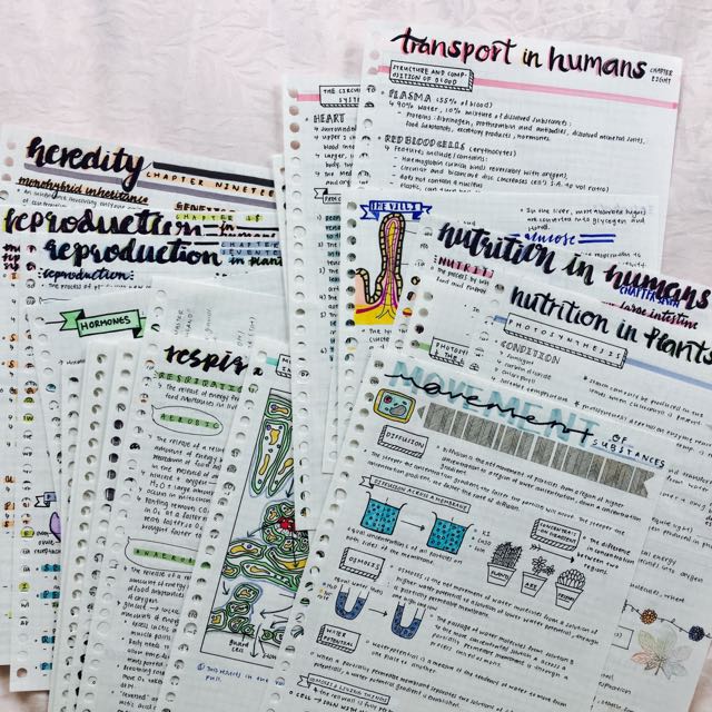 Pure Biology Notes, Hobbies & Toys, Memorabilia & Collectibles ...