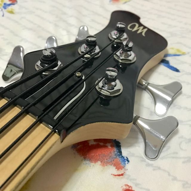 Mayones Custom Pilichowski (PI) 5 String Bass, Hobbies & Toys, Music ...