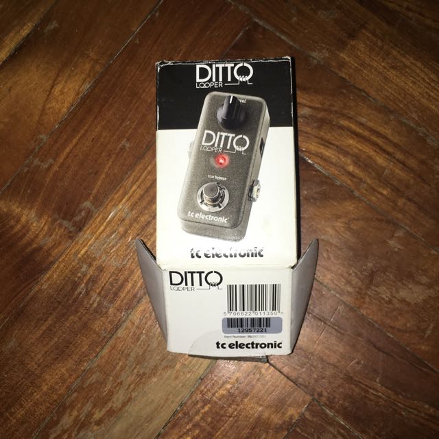 Ditto Looper, Hobbies & Toys, Music & Media, Musical Instruments on ...