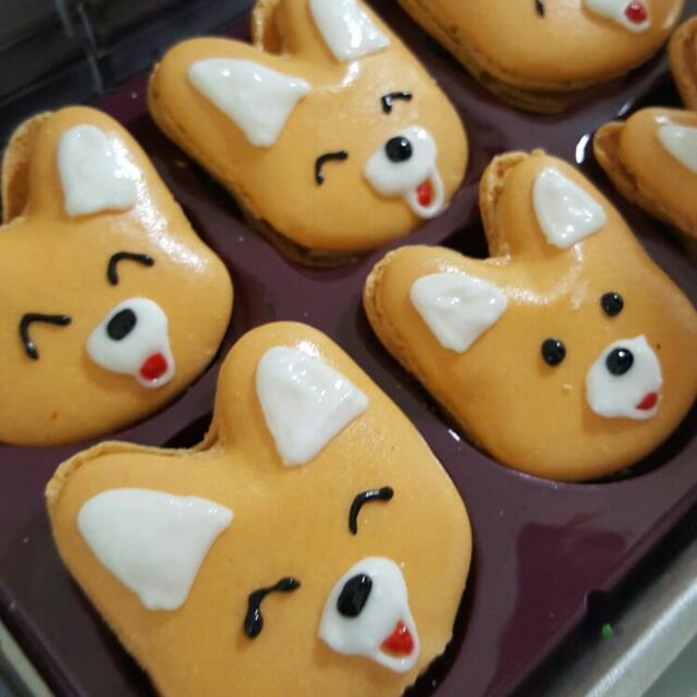 Macarons - Pororo And Friends - Eddy The Fox, Babies & Kids, Babies ...