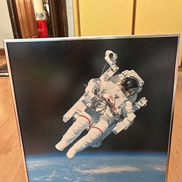 NASA Astronaut Photo With Metallic Frame, Furniture & Home Living, Home ...