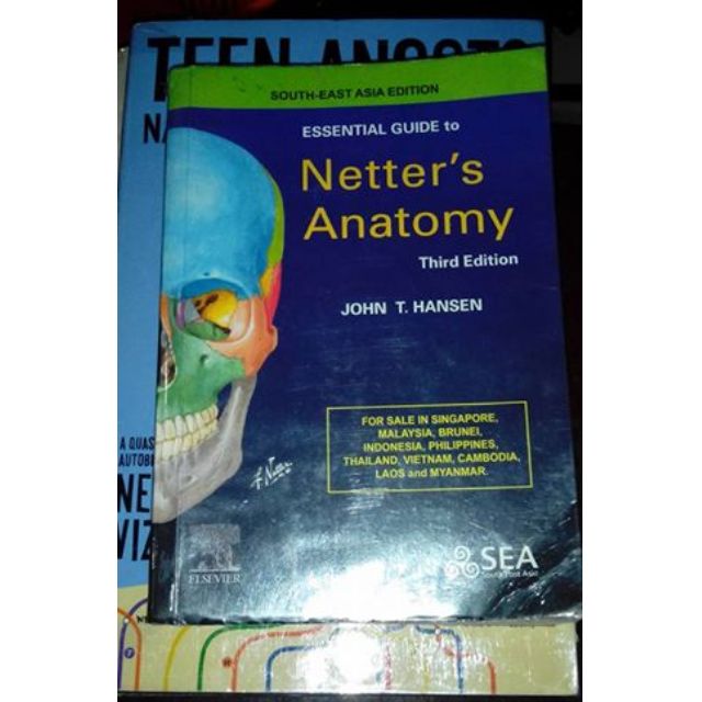 essential guide to netter's anatomy by John T. Hansen, Hobbies & Toys ...