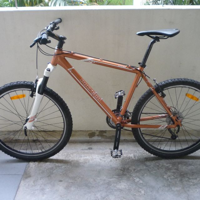 Polygon Cozmic 1.0, Sports Equipment, Bicycles & Parts, Bicycles on ...