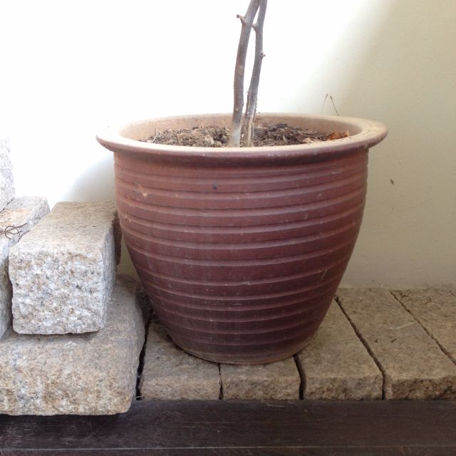 Brown Big Clay Pot, Furniture & Home Living, Gardening, Pots & Planters ...