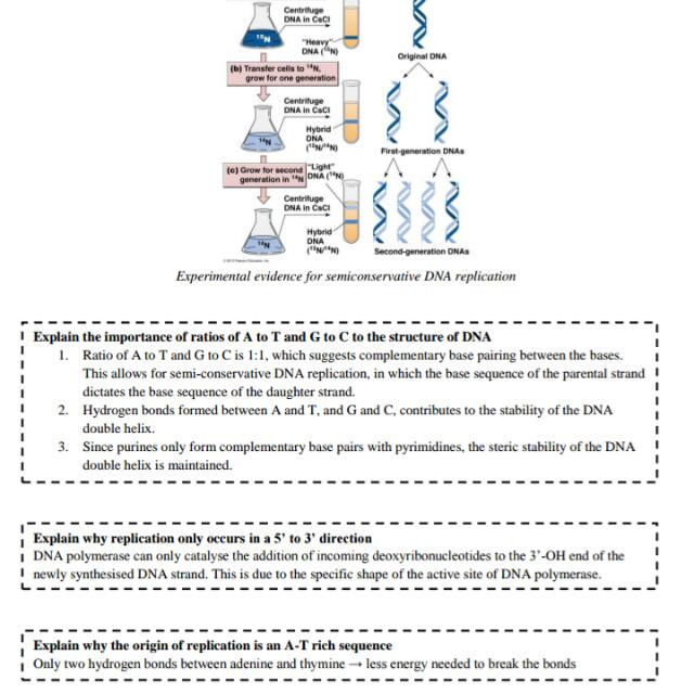 H2 Biology Compiled Topical Notes, Hobbies & Toys, Books & Magazines ...