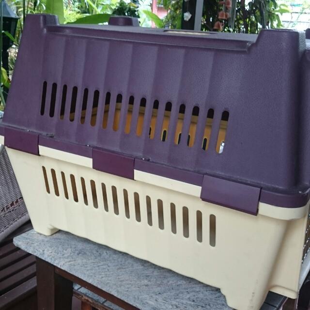 Dog's Carrier, Pet Supplies, Homes & Other Pet Accessories on Carousell