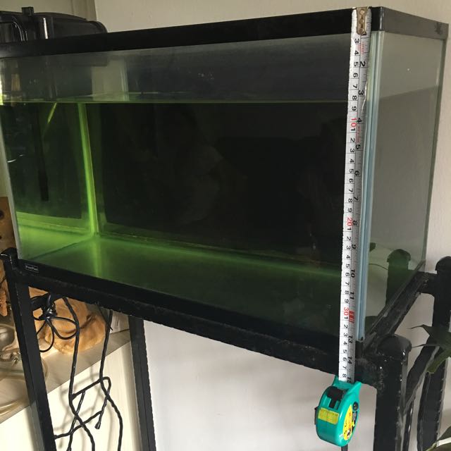 2 Feet Fish Tank with Stand, Everything Else on Carousell