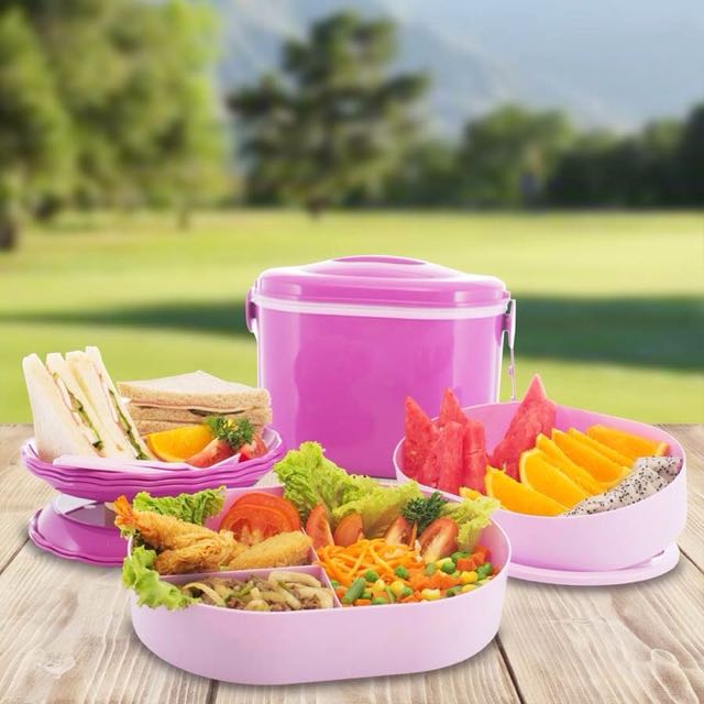 Tempat Makan Rantang Picnic Hamper Technoplast, Kitchen & Appliances di ...