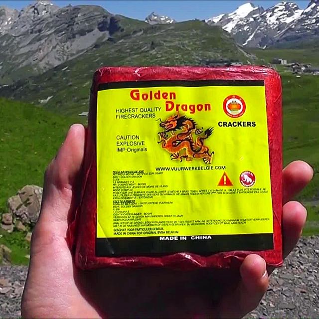 Golden Dragon Firecracker Painting, Hobbies & Toys, Stationery & Craft ...