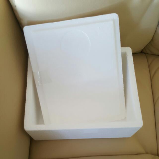 Styrofoam, Hobbies & Toys, Stationery & Craft, Craft Supplies & Tools ...