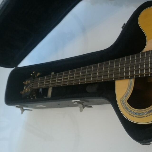 Warwick Rock Bass Alien Deluxe 5 String Acoustic Bass Guitar, Hobbies ...