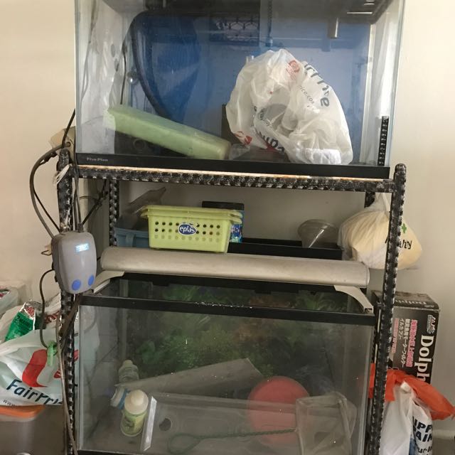 Double Fish Tank 2 Ft X 2, Pet Supplies, Homes & Other Pet Accessories ...