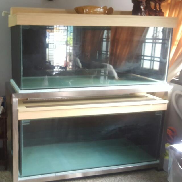 Dual Fish Tank & Motor, Pet Supplies, Homes & Other Pet Accessories on ...