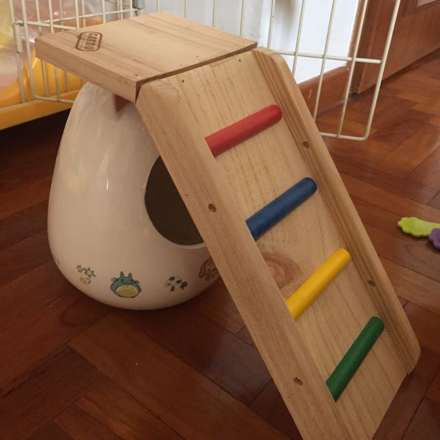 Chinchilla Stairs/ Ramp, Pet Supplies, Homes & Other Pet Accessories on ...
