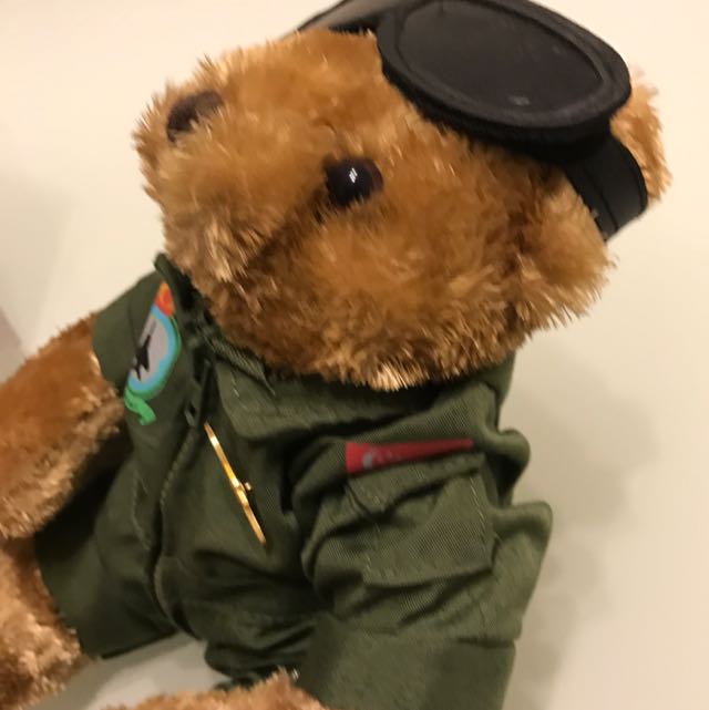 The Ace Of Aces Captain Ted, Everything Else on Carousell
