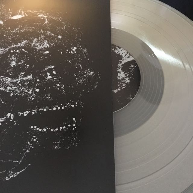 Vermin womb - Permanence LP, Hobbies & Toys, Music & Media, Vinyls on ...