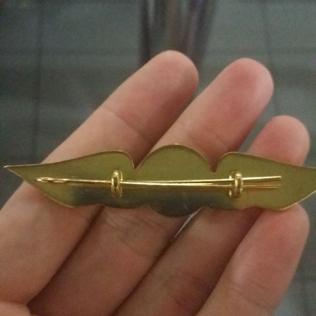 SIA Pilot Wing Emblem, Everything Else on Carousell
